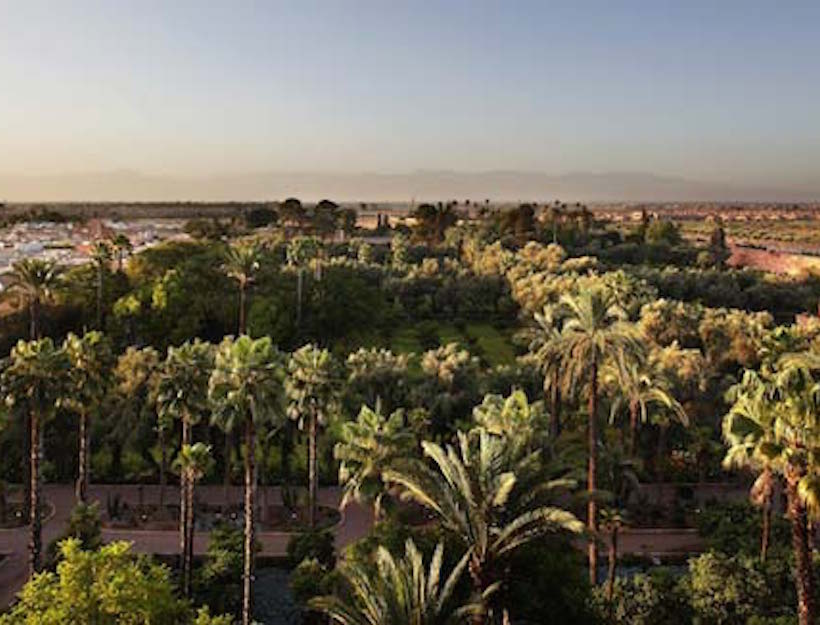 The Marrakech Guide - goop
