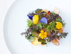 Stone Fruit Salad Recipe | goop