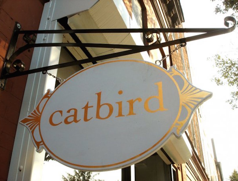 Catbird - goop