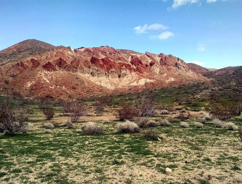 Red Rock Canyon - goop