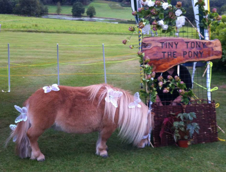 Animal Magic Pony Parties - goop