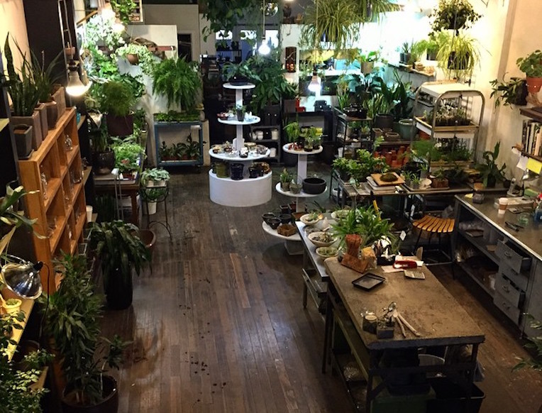 The Palm Room | goop