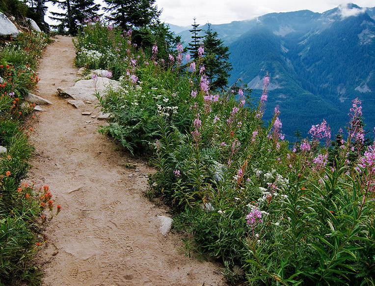 Ira Spring Trail - goop