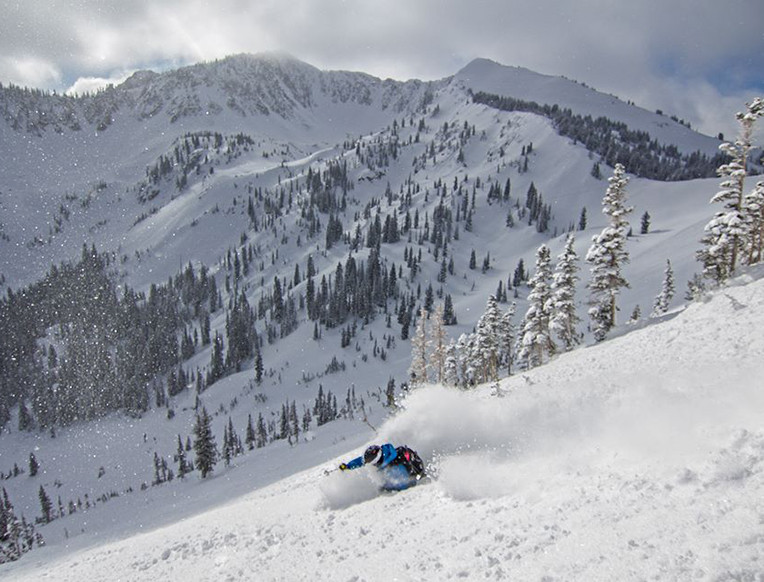 Brighton & Solitude - goop