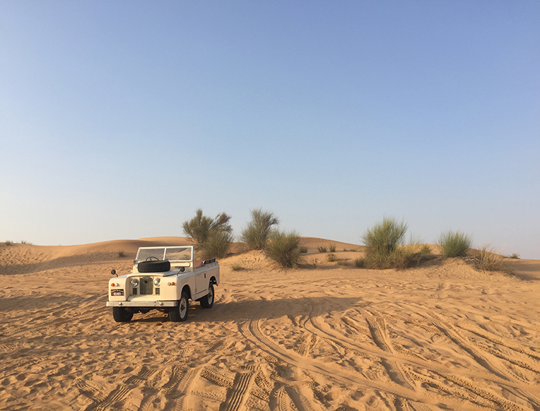 Desert Safari - goop