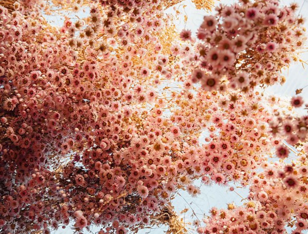 Wellness, Health, Mindfulness, Fitness, and More | goop