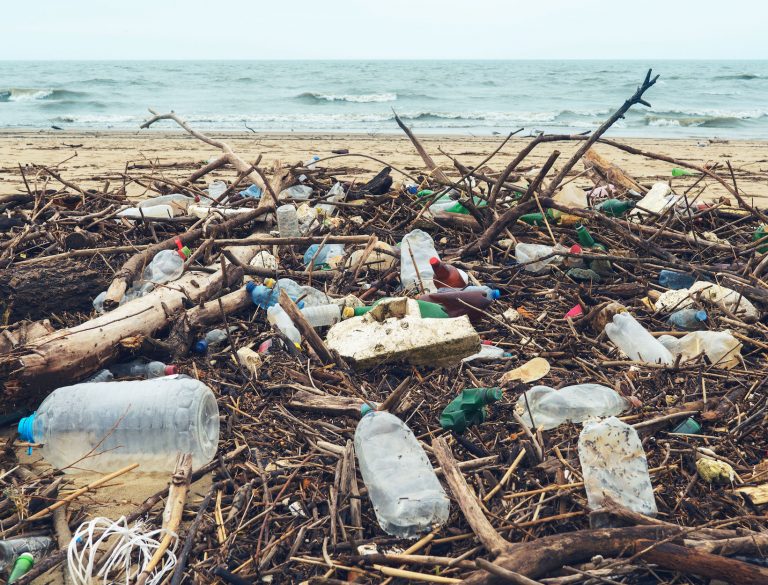 The Minimalist: The Woman Leading the Charge to End Plastic Pollution ...