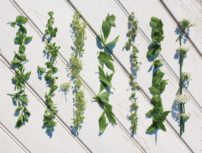 A Guide to 12 Popular Herbal Supplements - goop