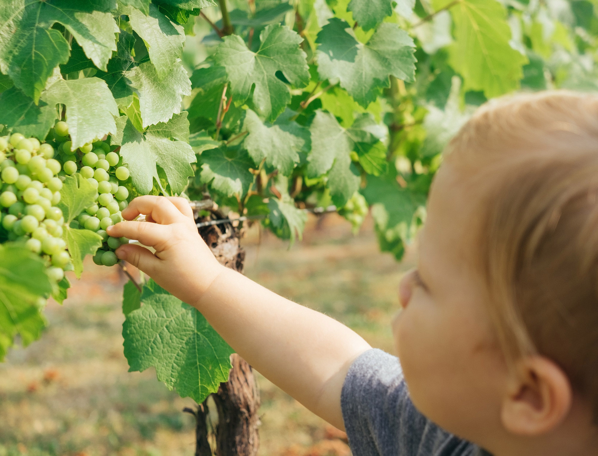 Growing Gardens - goop