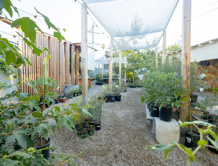 Plant Material - goop