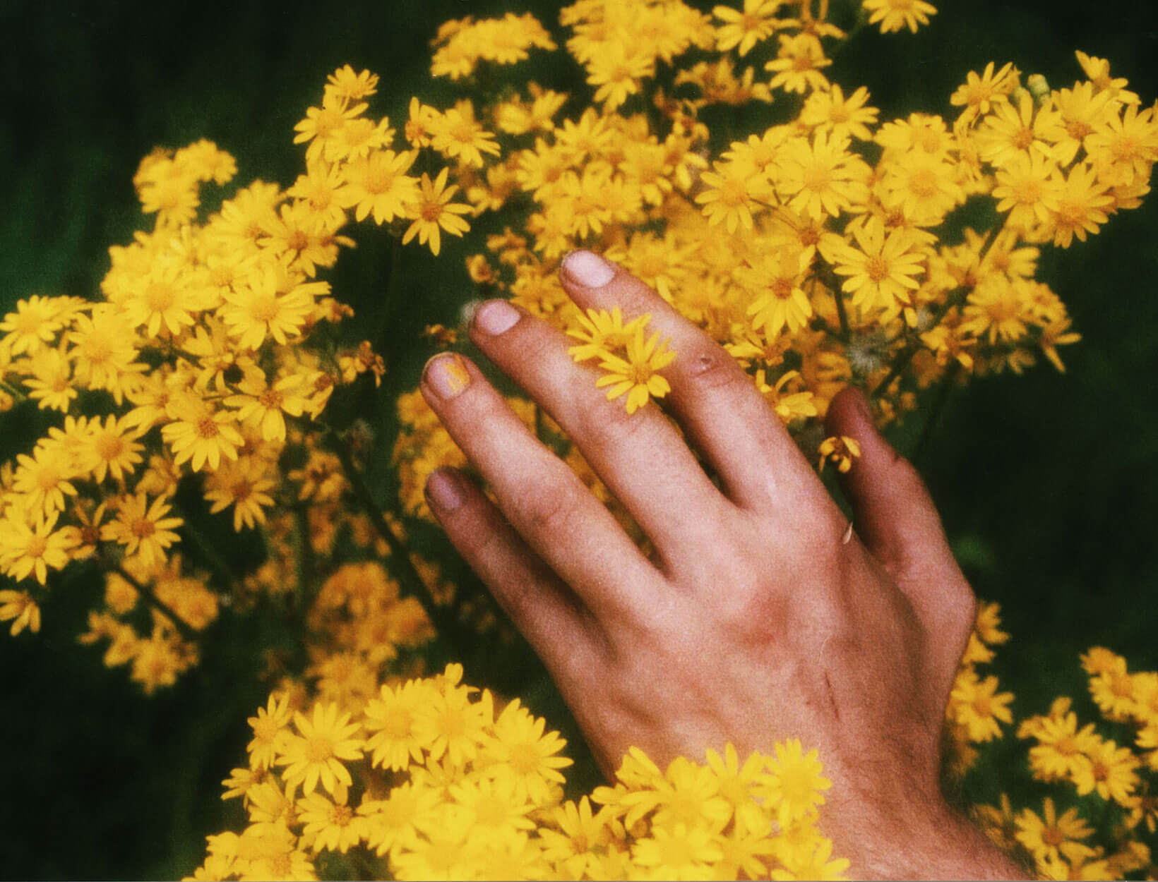 Using the Polyvagal Theory to Heal from Trauma | goop