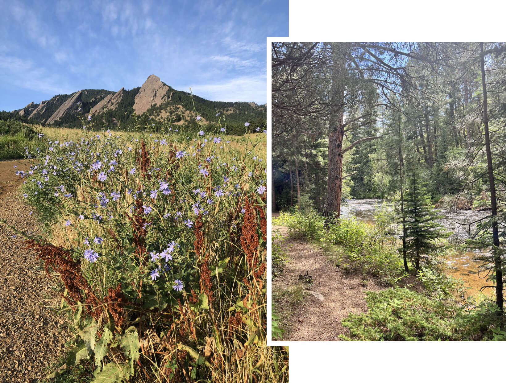 Boulder Guide: Where to Eat, Hike, and Shop - goop