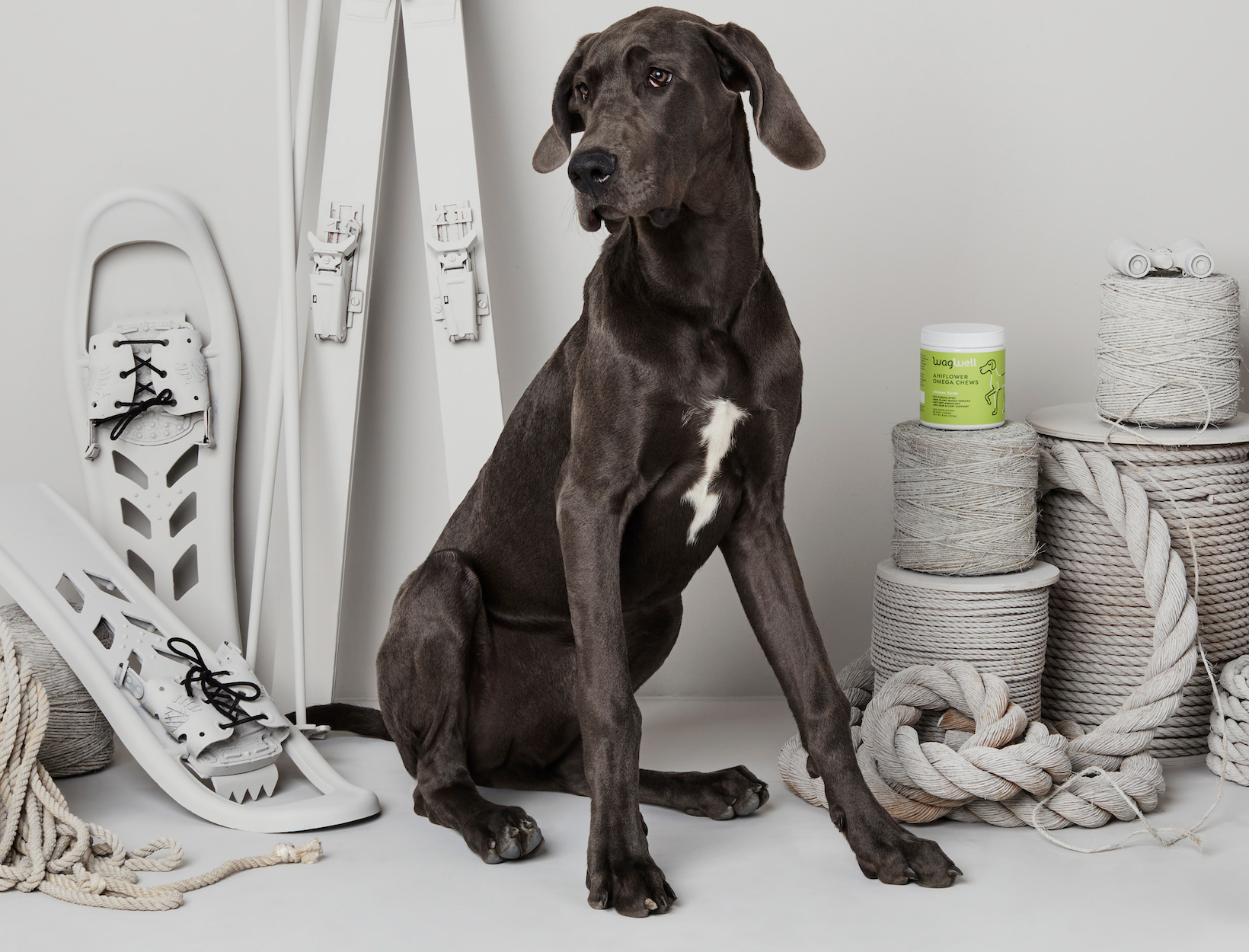 A Dog Wellness Brand's Innovative Approach to Supplements—and Treats - goop