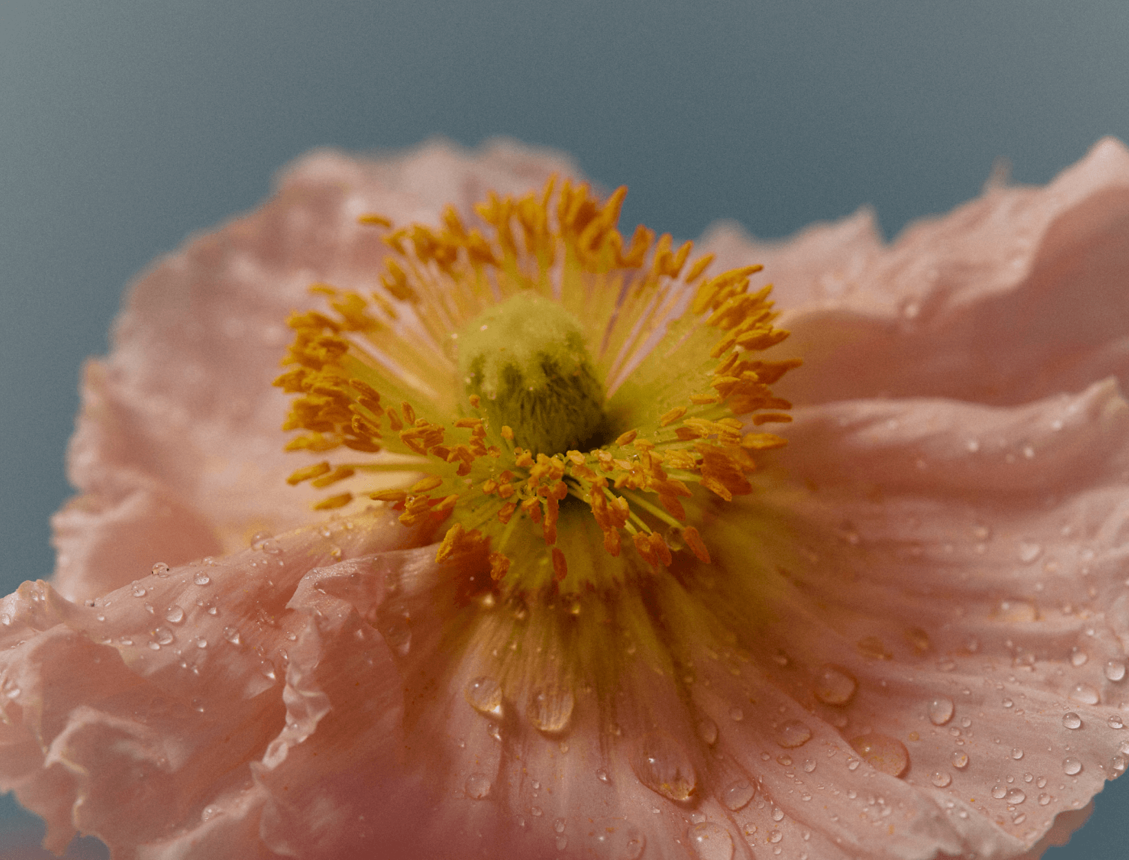 Is the “Female Viagra” Revolution Finally Here? - goop