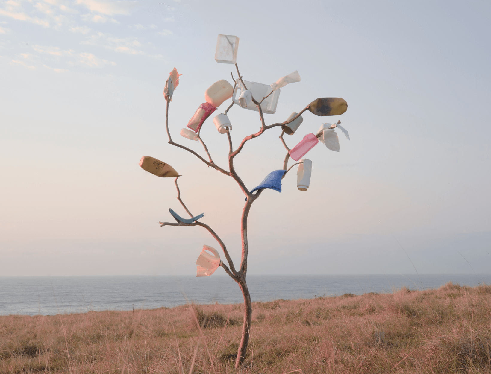 The Invisible Threat of Microplastics - goop